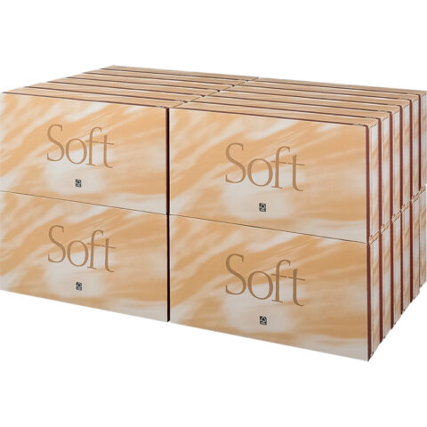 Ply Luxury Facial Tissues White 100 sheets